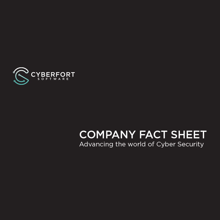 Graphic Design Report - Cyberfort Software - Capitol Tech Solutions ...