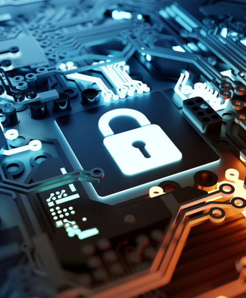 Website Cyber Security Services in Sacramento - Capitol Tech Solutions ...