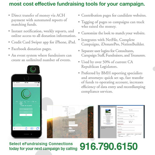 Graphic Design Flyer - eFundraising Connections - Capitol Tech ...